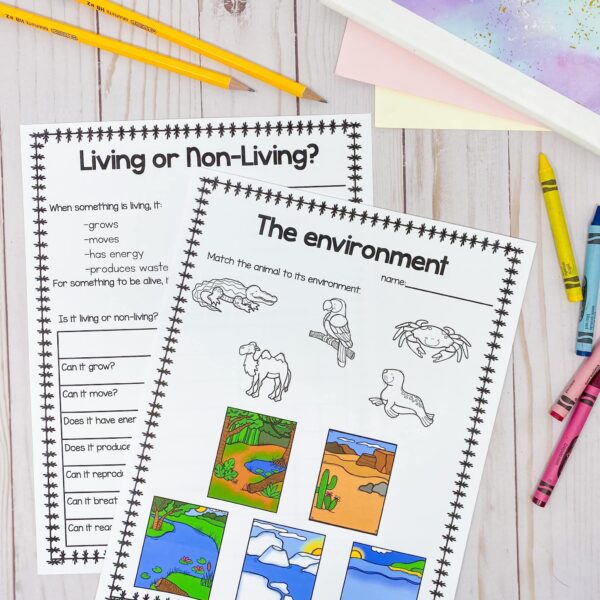 Grade 1 Needs and Characteristics of Living Things Science Unit in ...